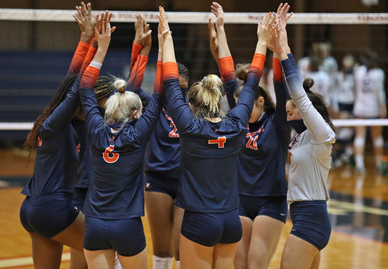 Uva volleyball store